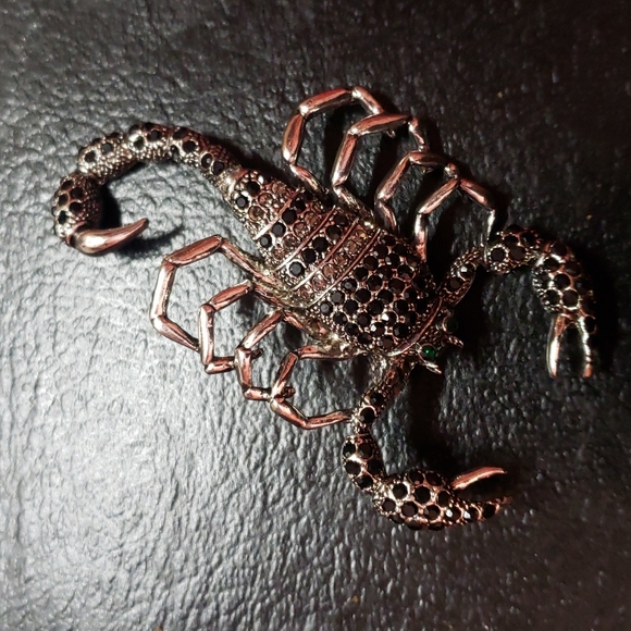 Jewelry | Scorpion Brooch | Poshmark